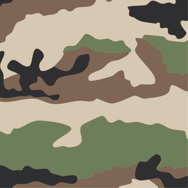 What are The TOP-10 military camouflage patterns?