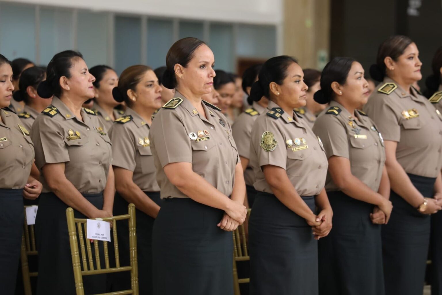 Understanding Peru’s Police Uniforms: From Traffic Patrol to Tactical ...