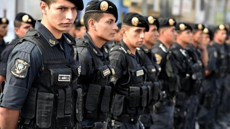 Understanding Peru’s Police Uniforms: From Traffic Patrol to Tactical ...